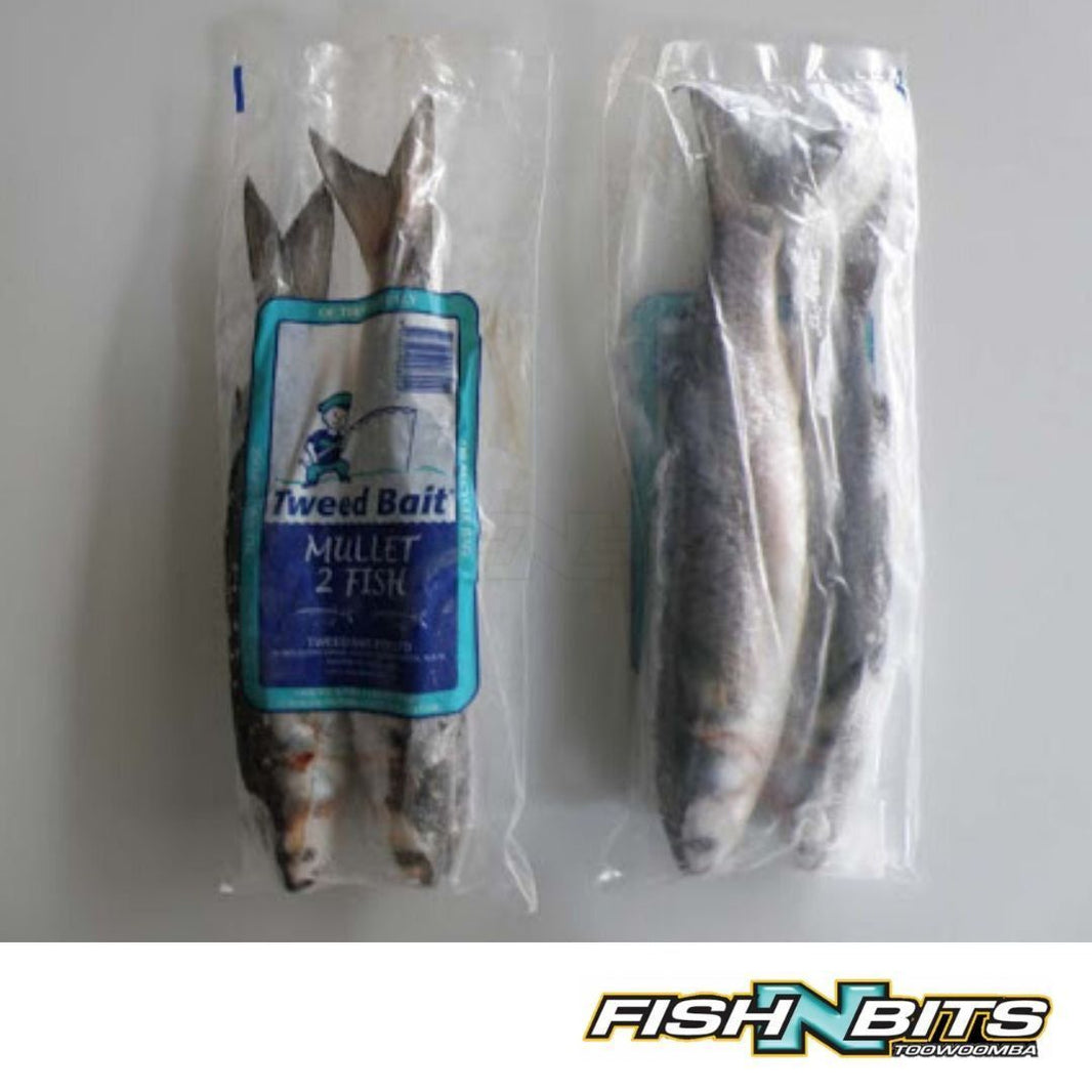 Bait – Fish N Bits